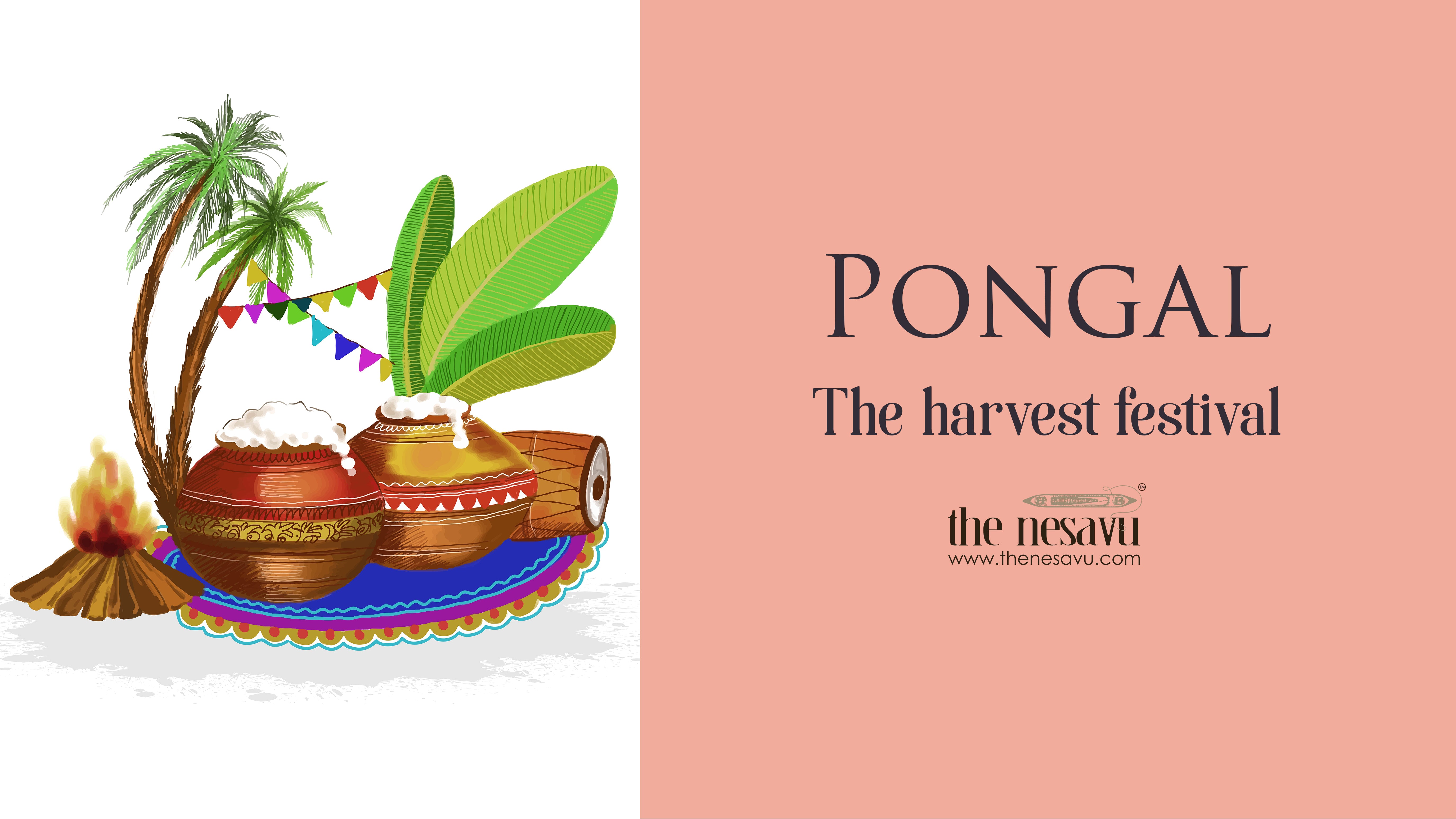 Pongal - the harvest festival – The Nesavu