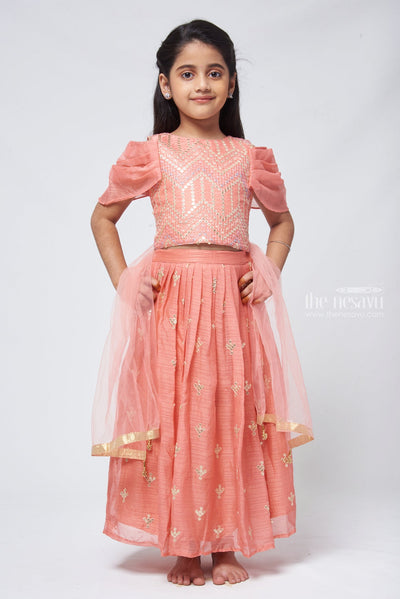 Lehenga & Ghagra – The Nesavu